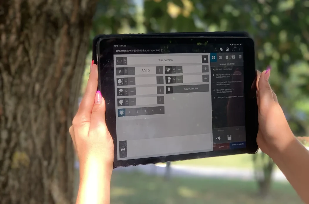 U tijeku je pregled i unos podataka o stablima u katastar - Varazdinski.hr