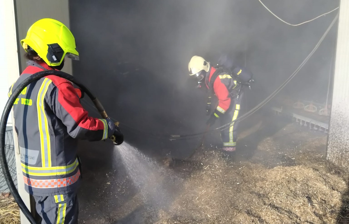 Požar u peradarniku u Hrženici, za sve je kriv kvar na električnoj instalaciji na utičnici ...