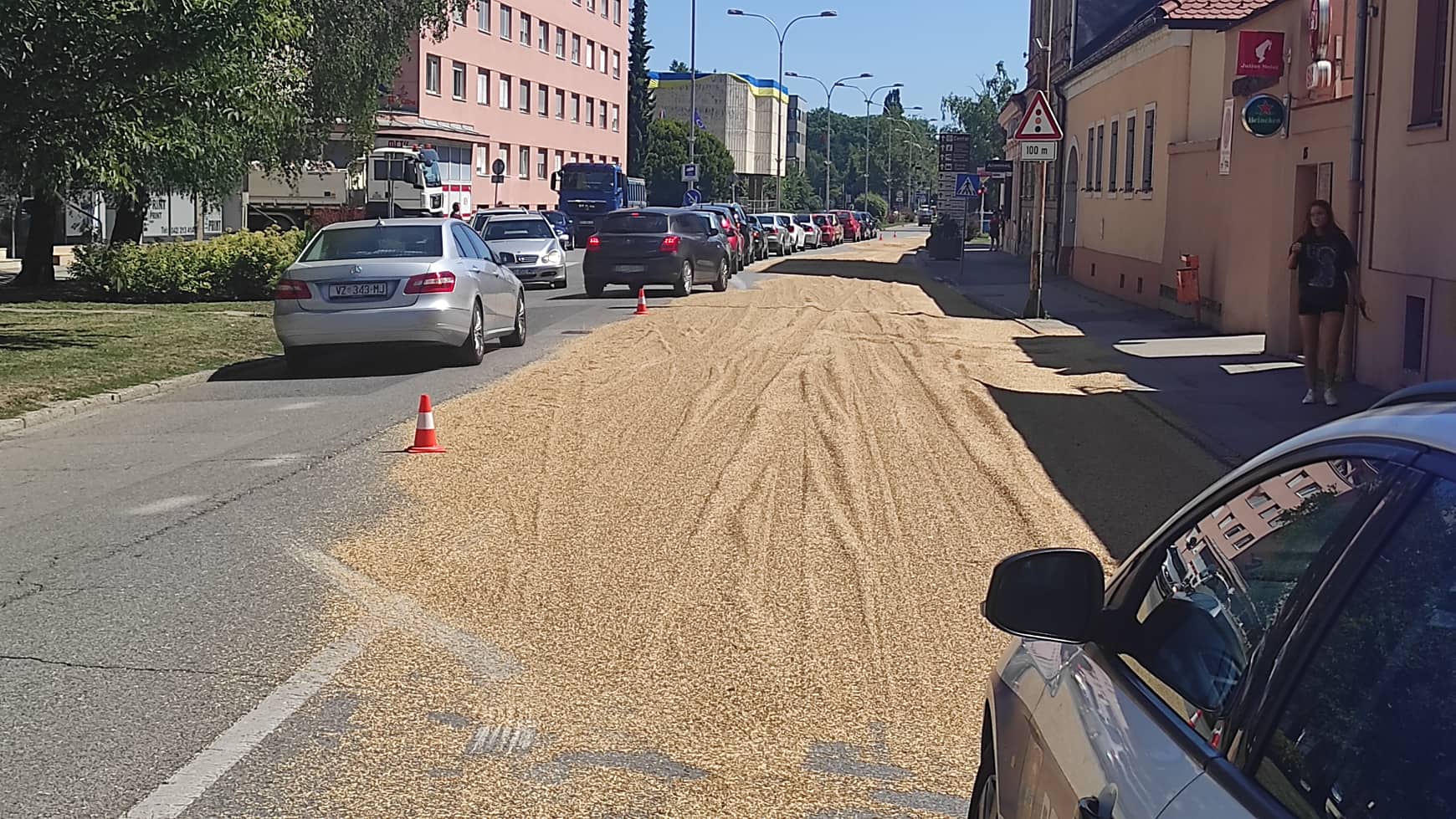 VRAZOVA SE 'POZLATILA' Rasuo se ječam po jednoj od prometnijih ulica u ...
