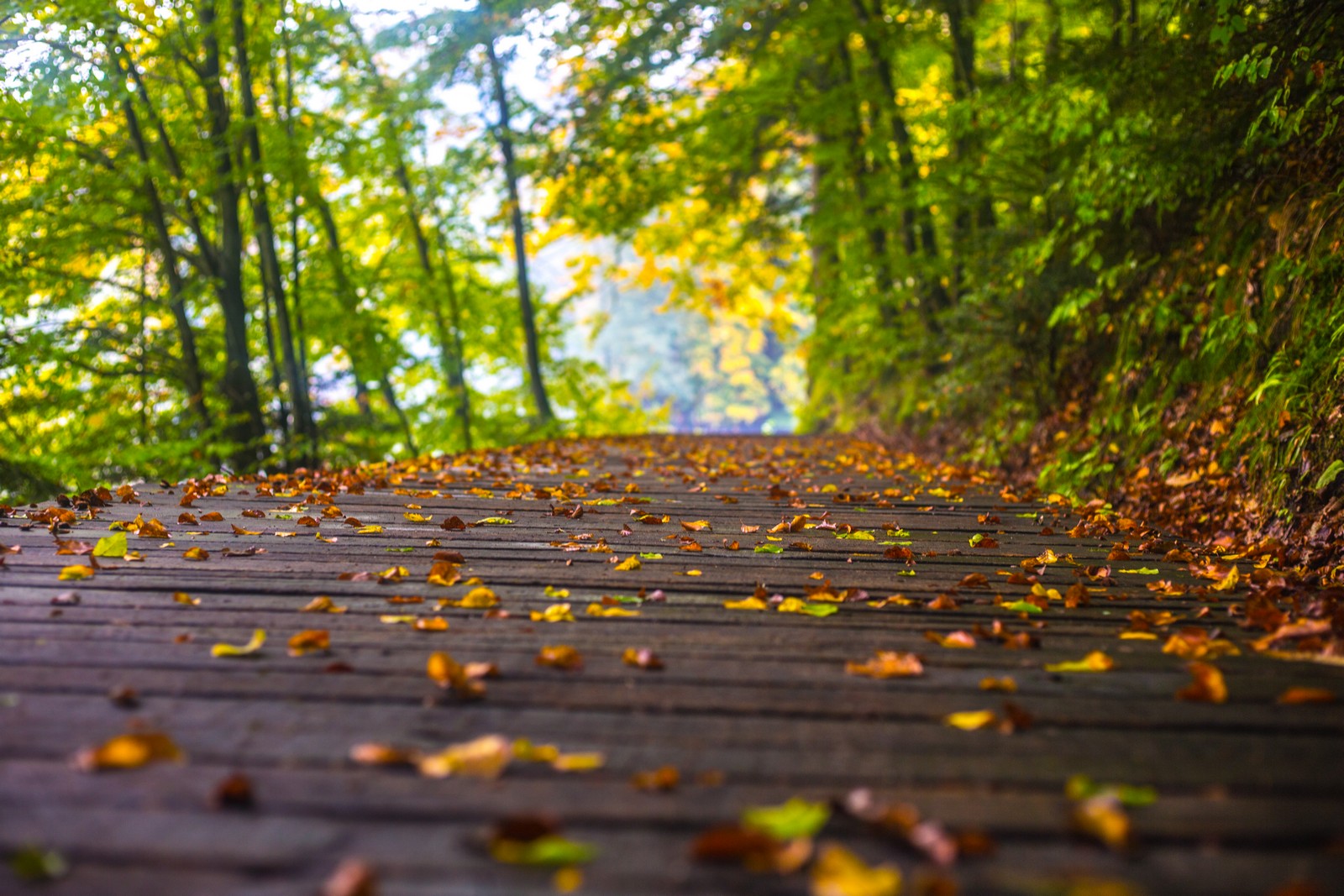 Jutro maglovito, sredinom dana djelomično sunčano uz slab jugoistočni ...